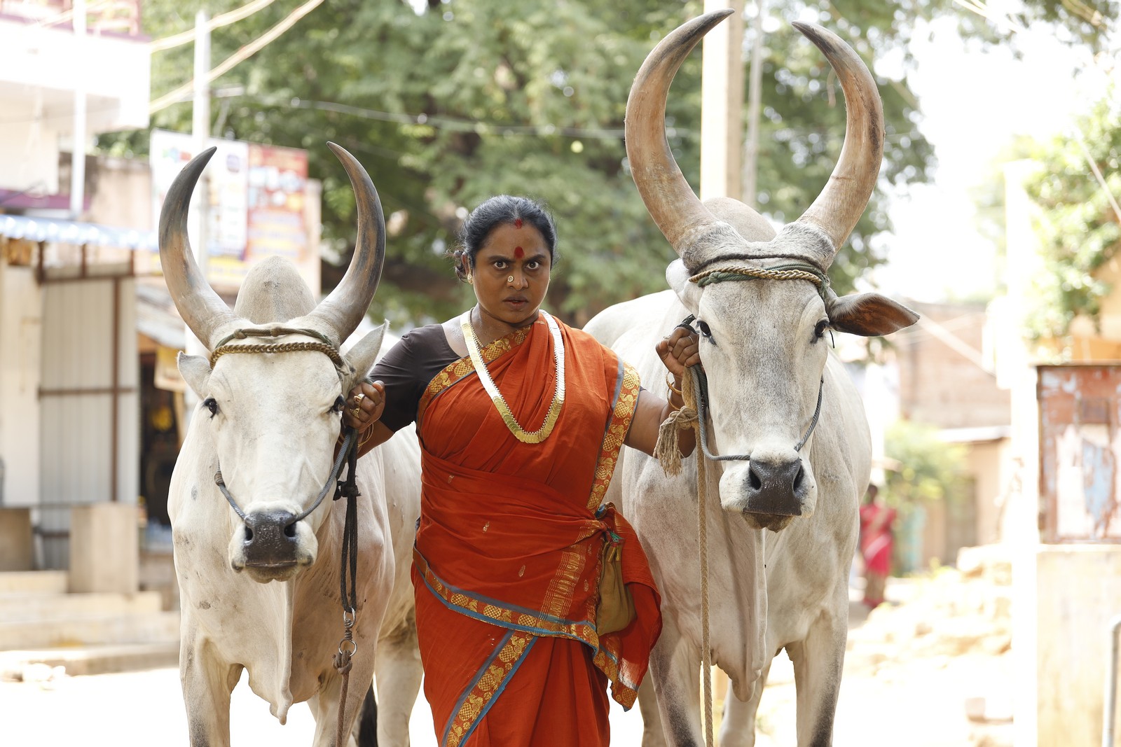 Marrutha Movie Stills – Chennaionline