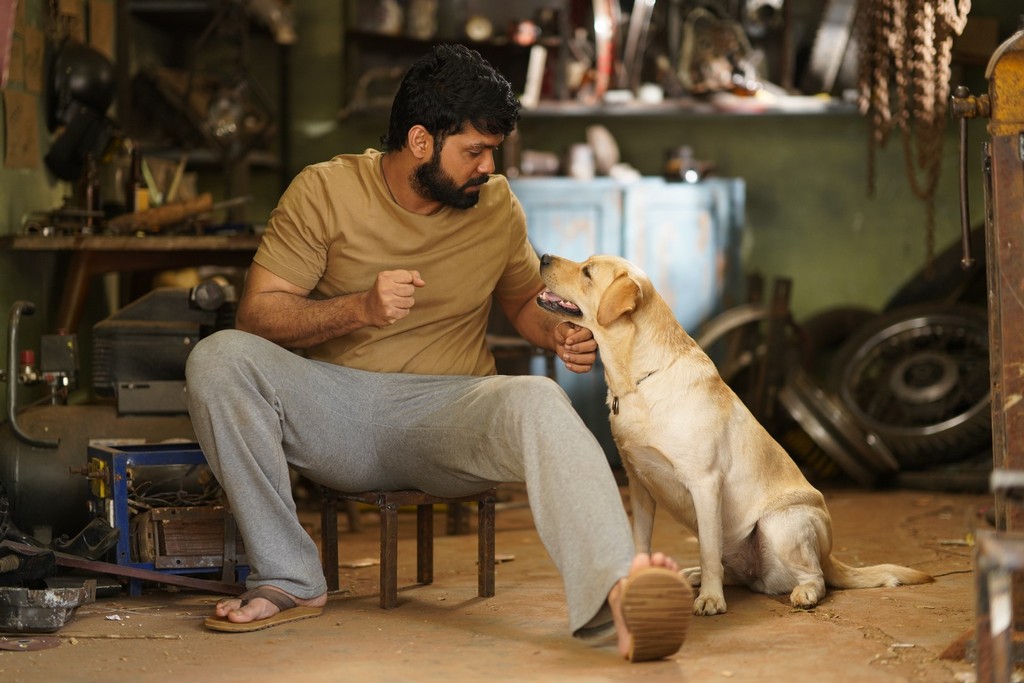 777 Charlie Movie Stills – Chennaionline