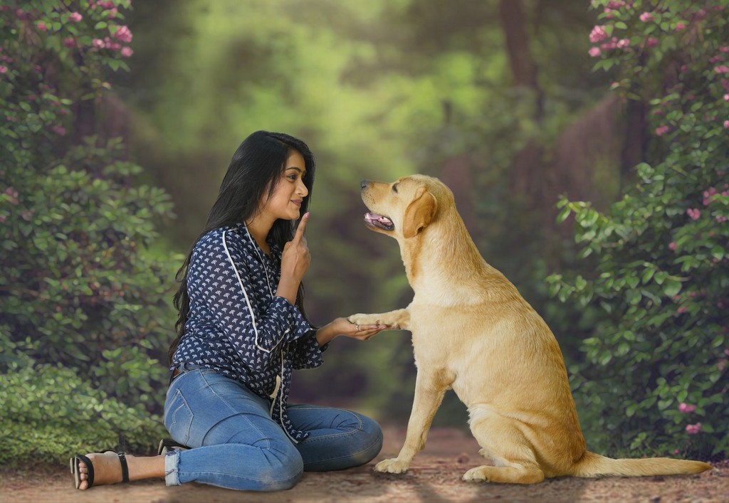 777 Charlie Movie Stills – Chennaionline