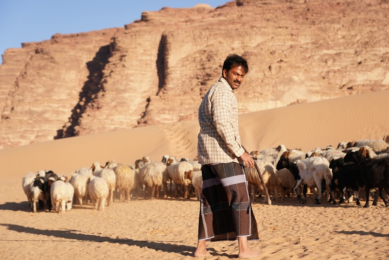 The Goat Life Movie Stills – Chennaionline